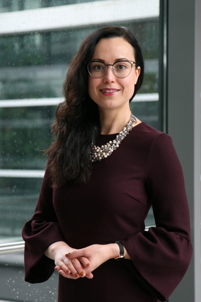 主页 | Schmidt & Schmidt